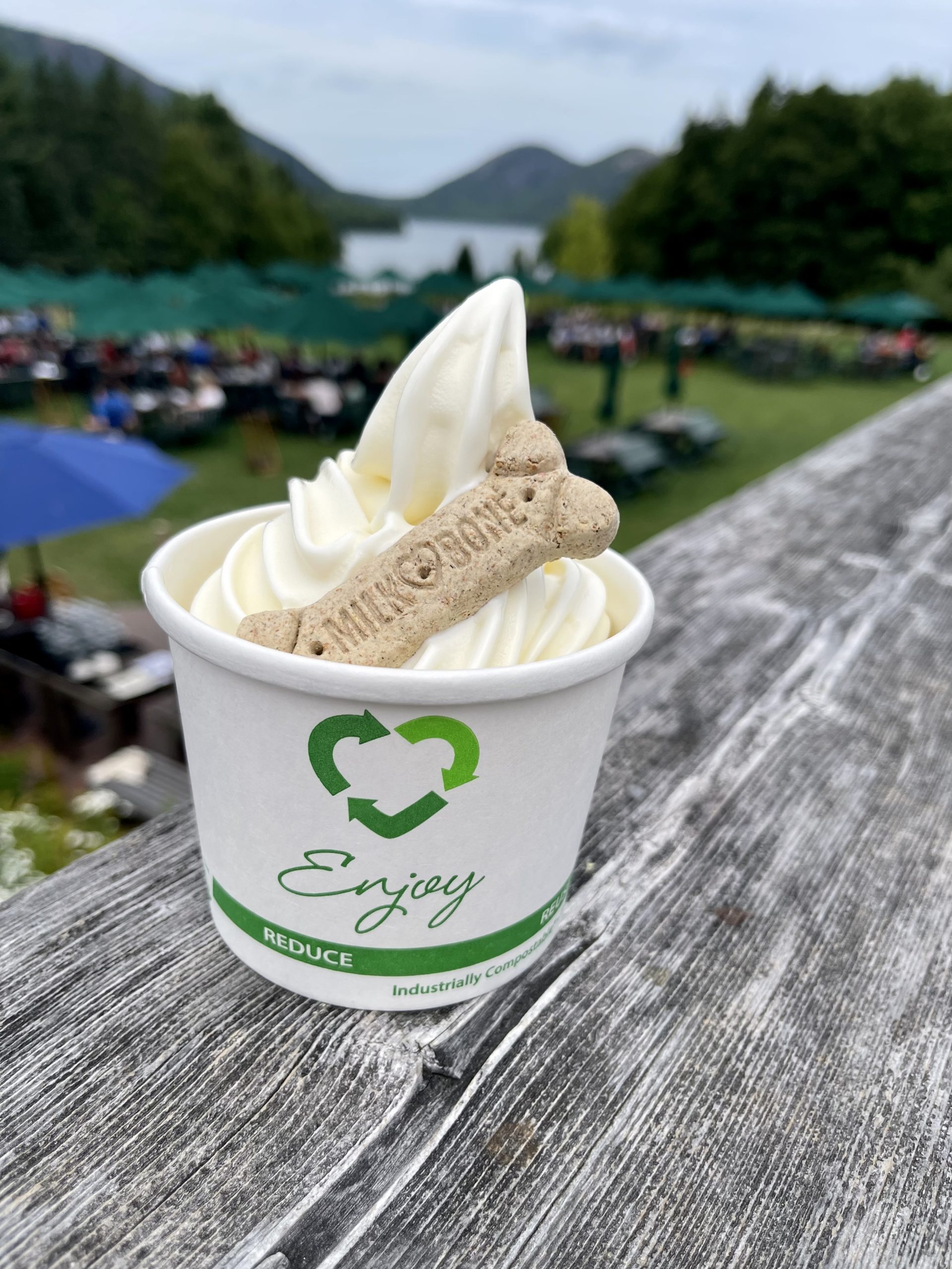 Pup Cup - Breezy Point Beach Club